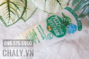 Sữa rửa mặt Everish Utena Scrub tẩy da chết Nhật 110k | Shop Nhật Chaly